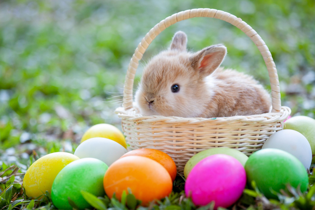 101 Easter Fun Facts