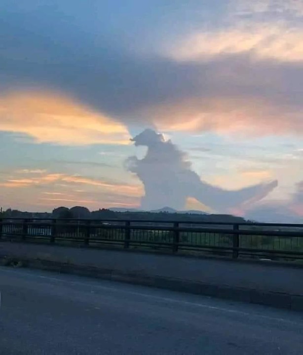 Godzilla Cloud Illusion