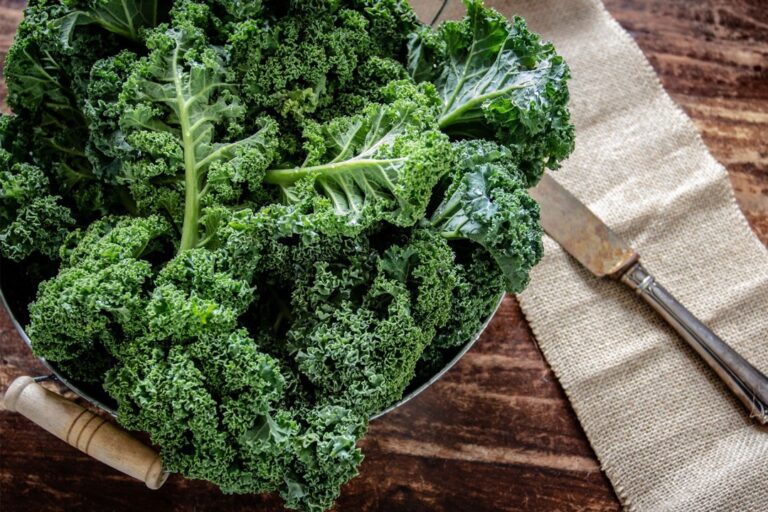 50 Fun Kale Facts