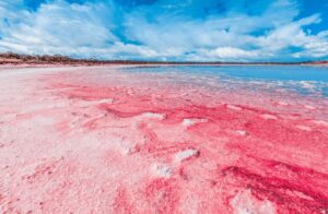 35 Interesting Lake Hillier Facts