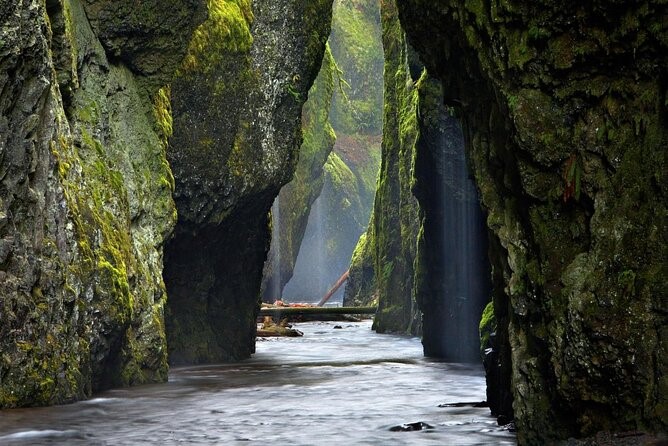 35 Awesome Oneonta Gorge Facts