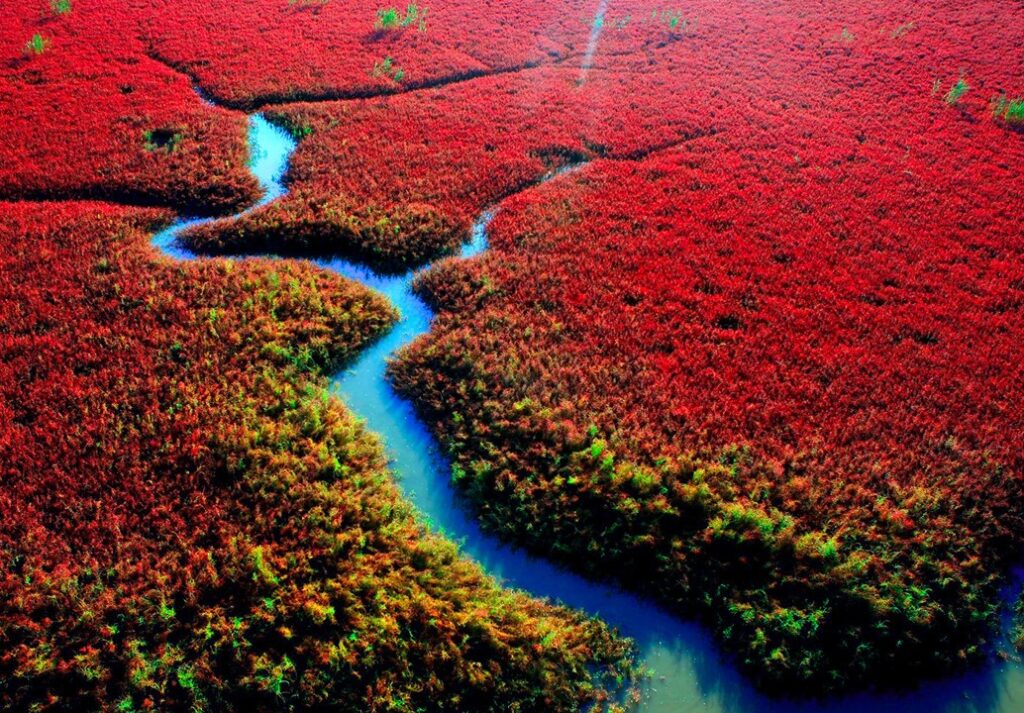 35 Red Beach Facts