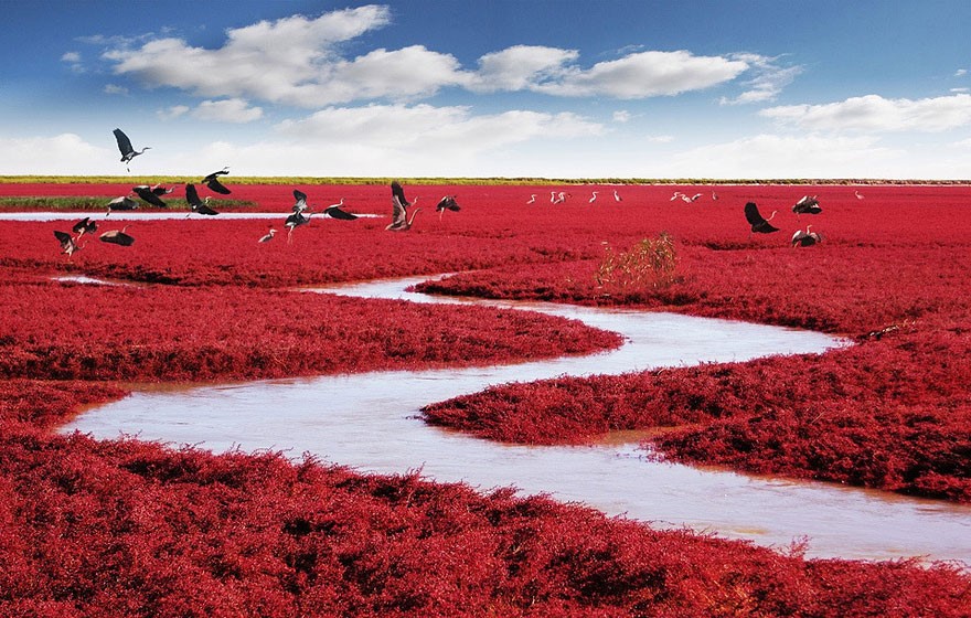 35 Red Beach Facts