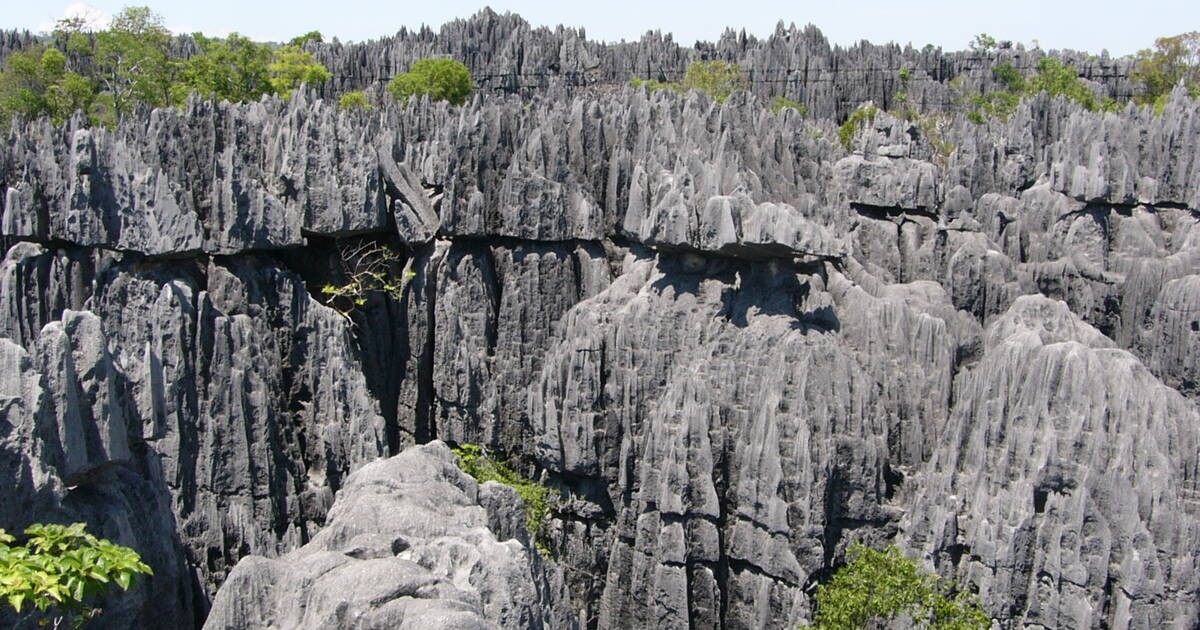 35 Fascinating Tsingy Facts