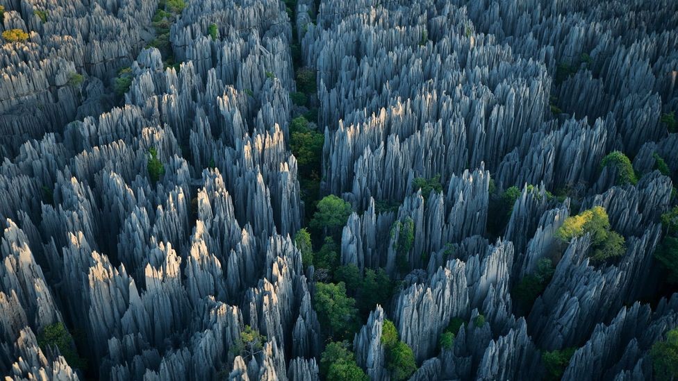 35 Fascinating Tsingy Facts