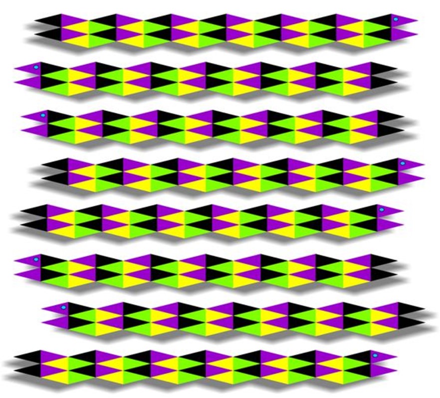 Moving Snakes Illusion